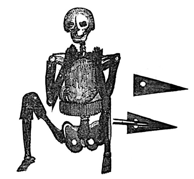 Fall River Skeleton in Armor - Kook Science