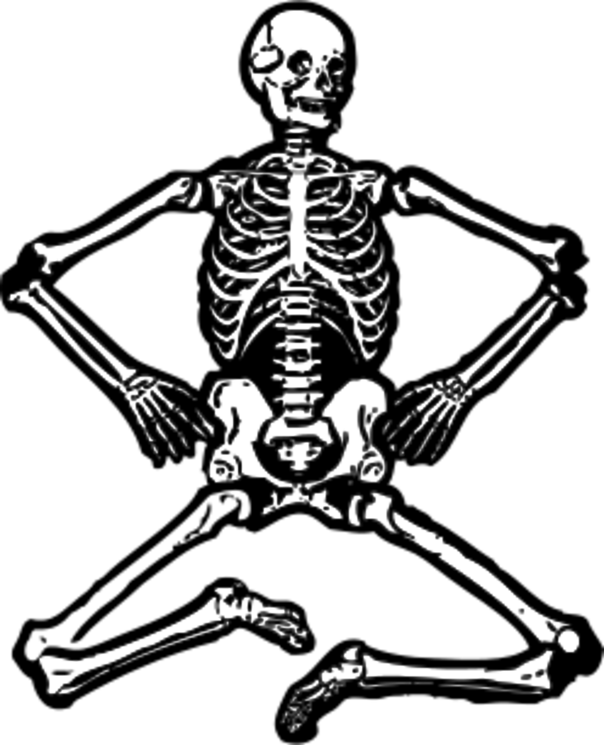 File Skeleton Johnnyautomatic Svg Kook Science