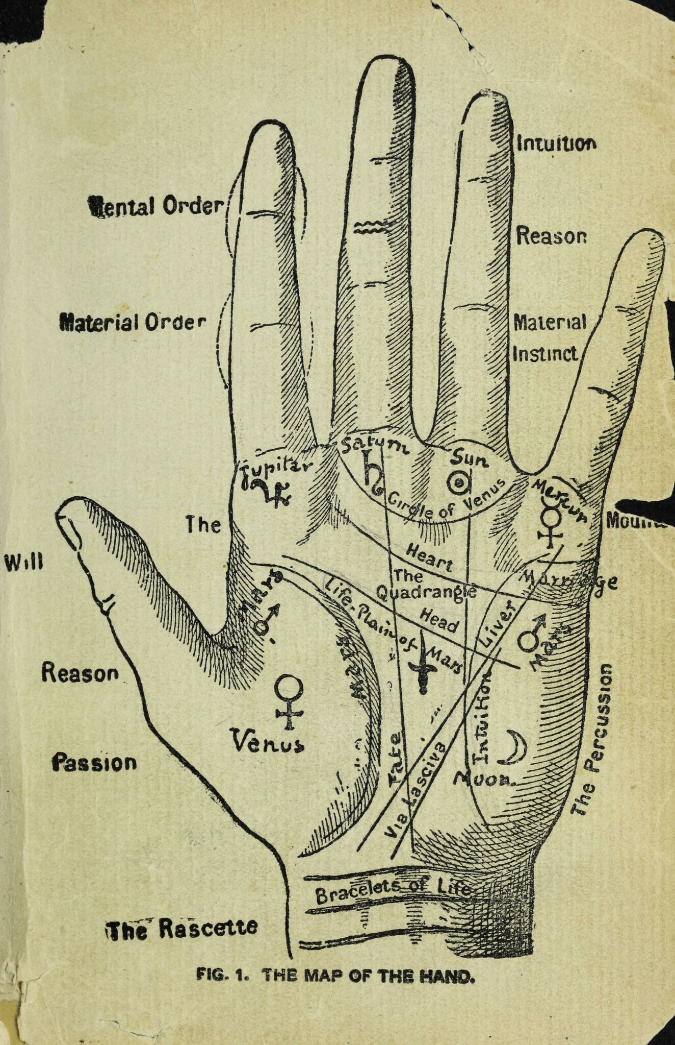File:Map of the Hand - Practical Palmistry (1897), p. 25.jpg - Kook Science