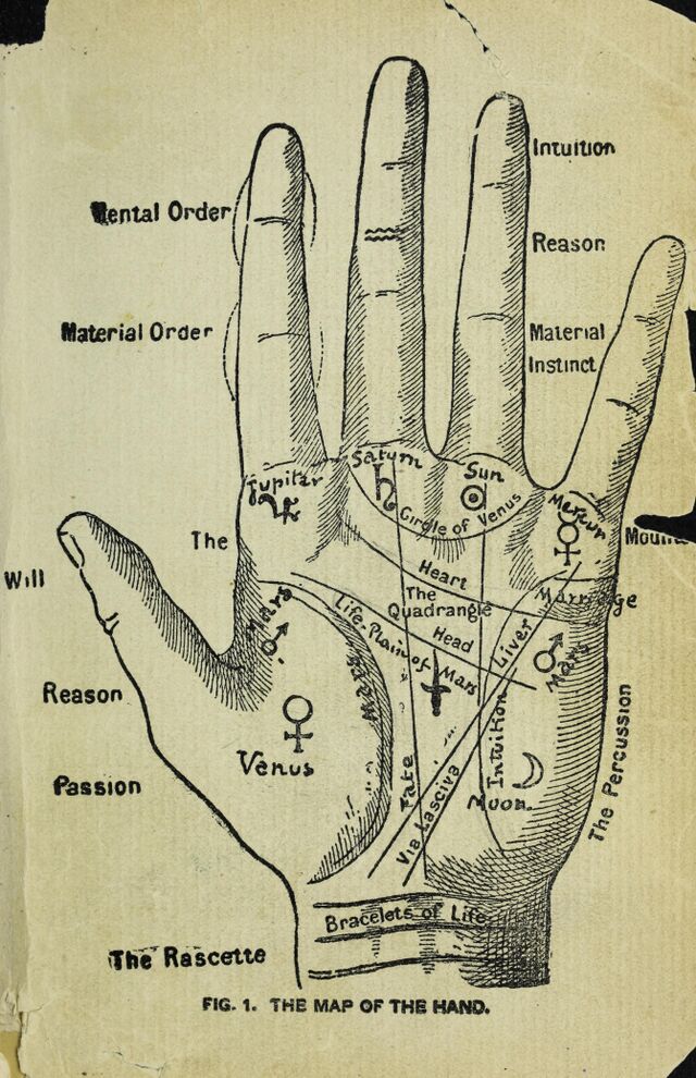Palmistry - Kook Science