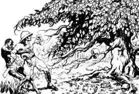 Man-Eating Tree of Mindanao - Kook Science