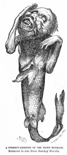 Fiji mermaid - Kook Science