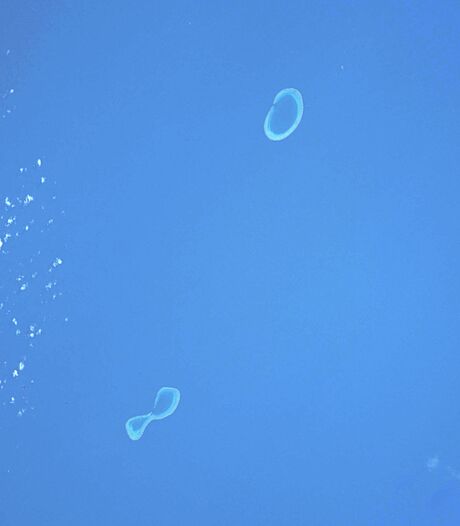 Republic of Minerva - Kook Science